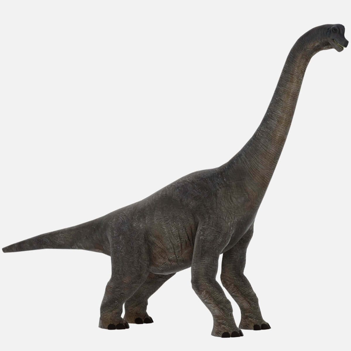 Brachiosaur - 3D Model by GabrielCasamasso