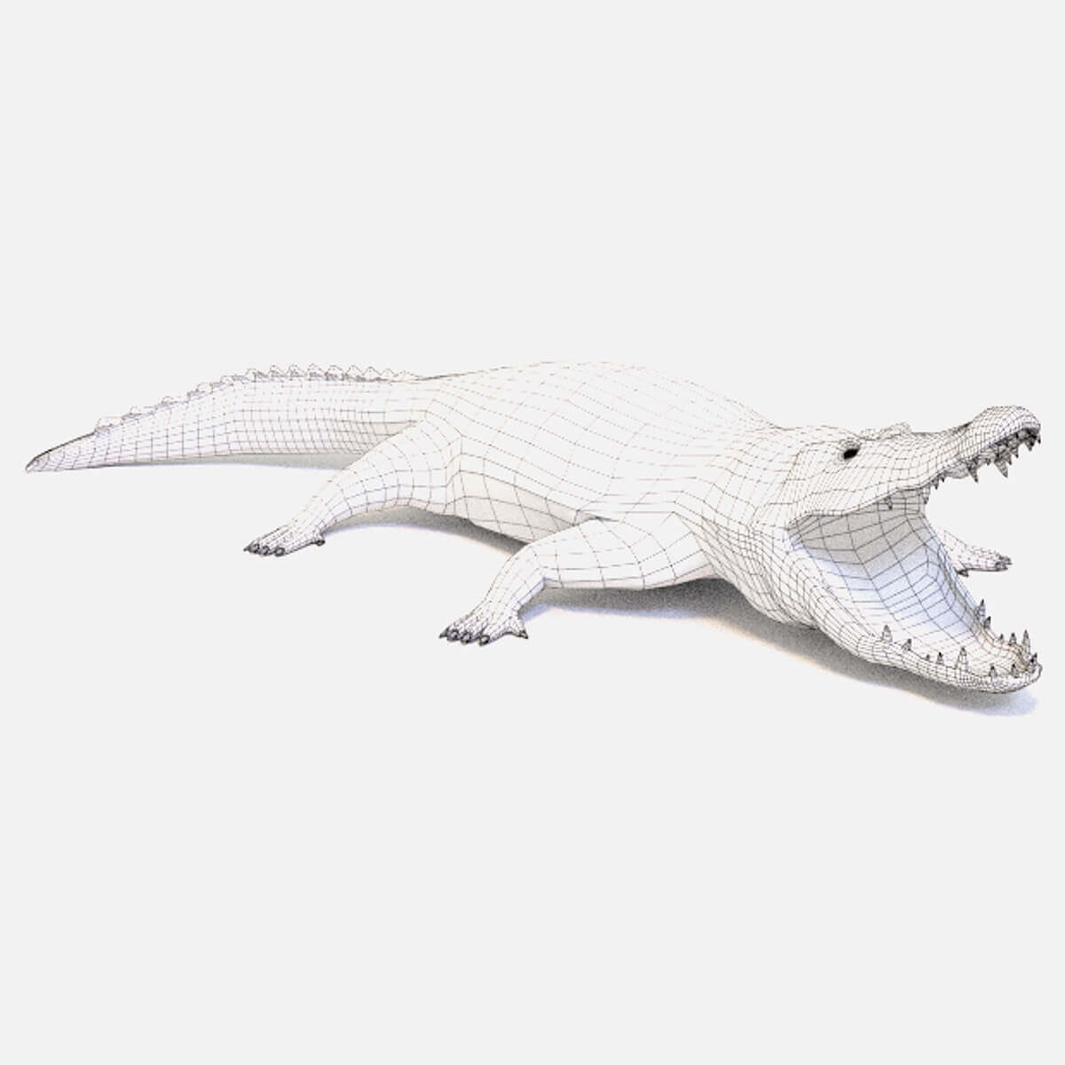 Crocodile - 3D Model by GabrielCasamasso
