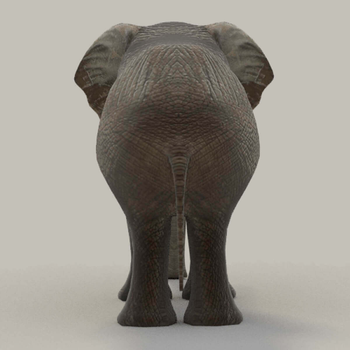 African Elephant - 3D Model by GabrielCasamasso