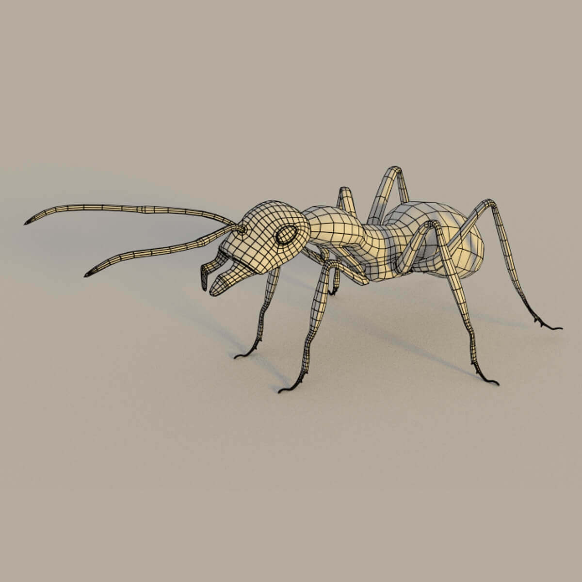Field Ant - 3D Model by GabrielCasamasso
