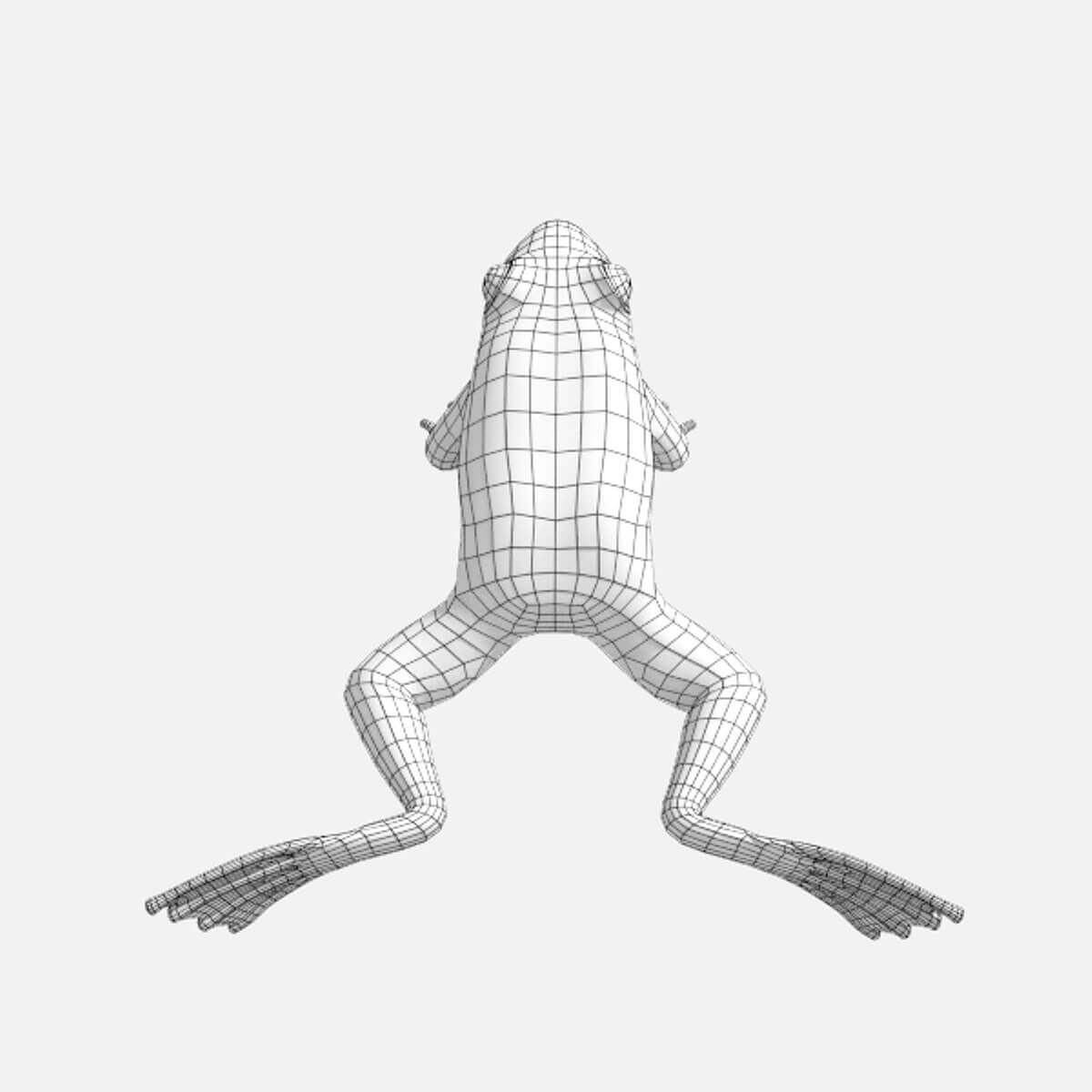 Frog - 3D Model by GabrielCasamasso