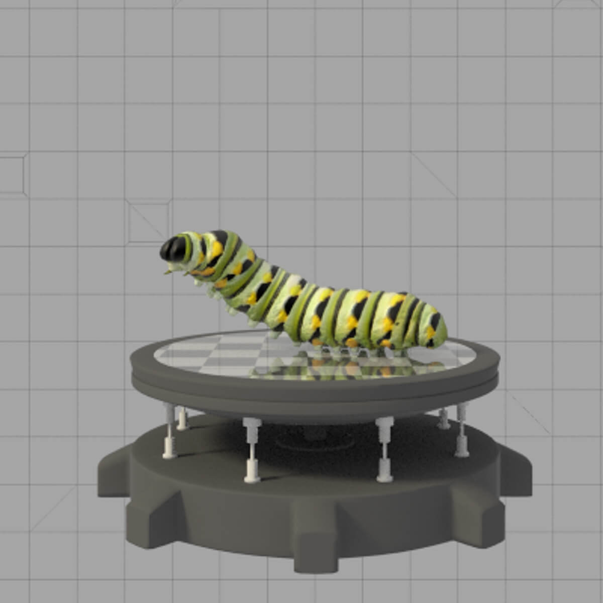 Insects Pack - 3D Model by GabrielCasamasso