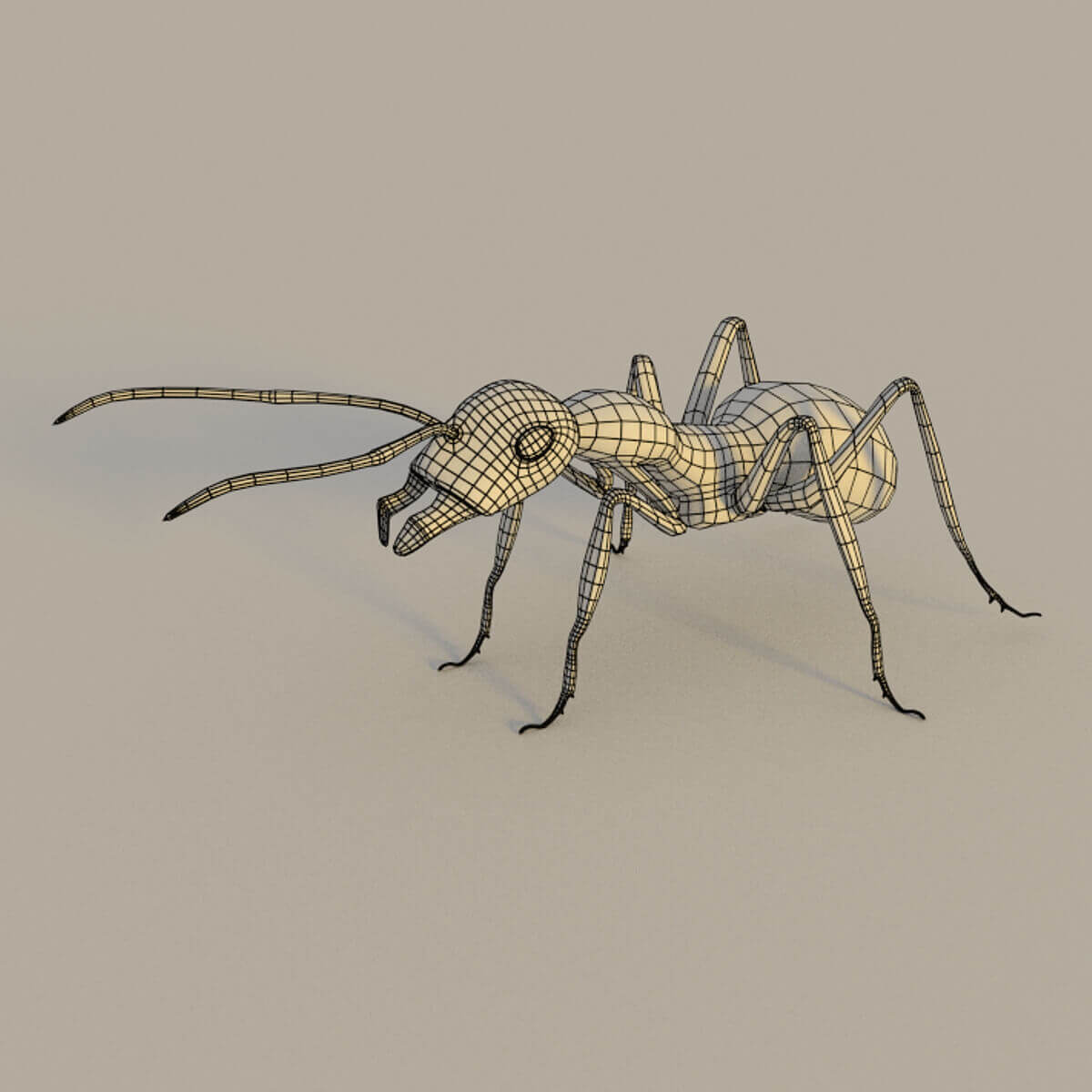 Insects Pack - 3D Model by GabrielCasamasso