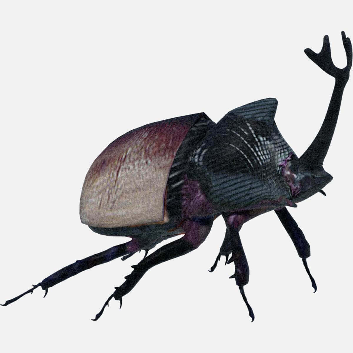 Insects Pack - 3D Model by GabrielCasamasso