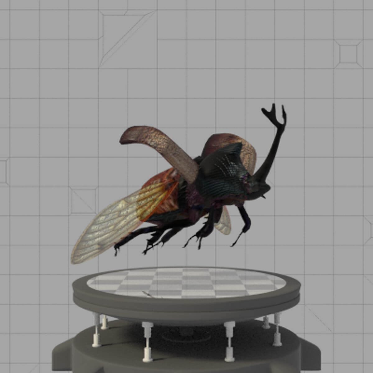 Insects Pack - 3D Model by GabrielCasamasso