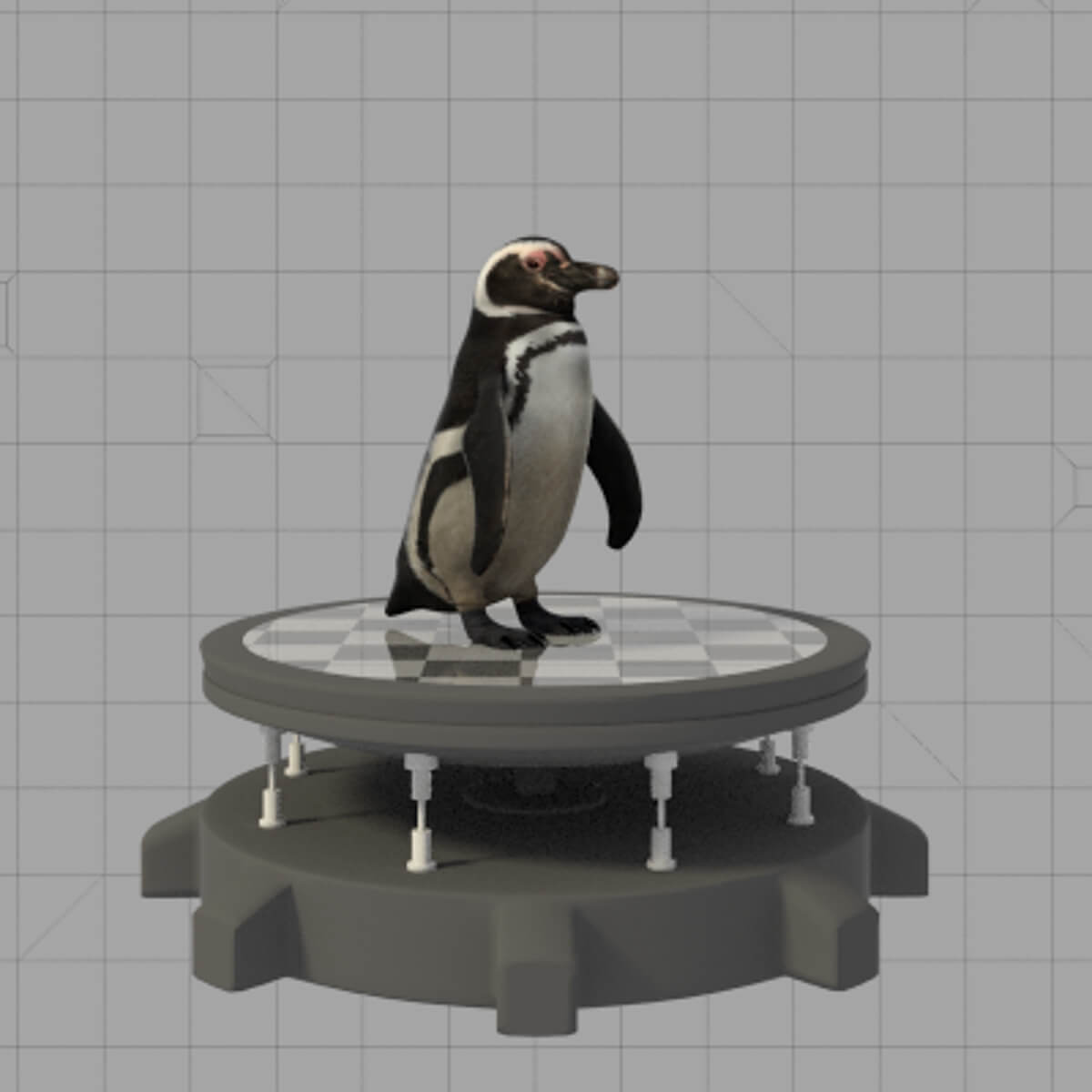 Magellanic Penguin (Spheniscus Magellanicus) - 3D Model by GabrielCasamasso