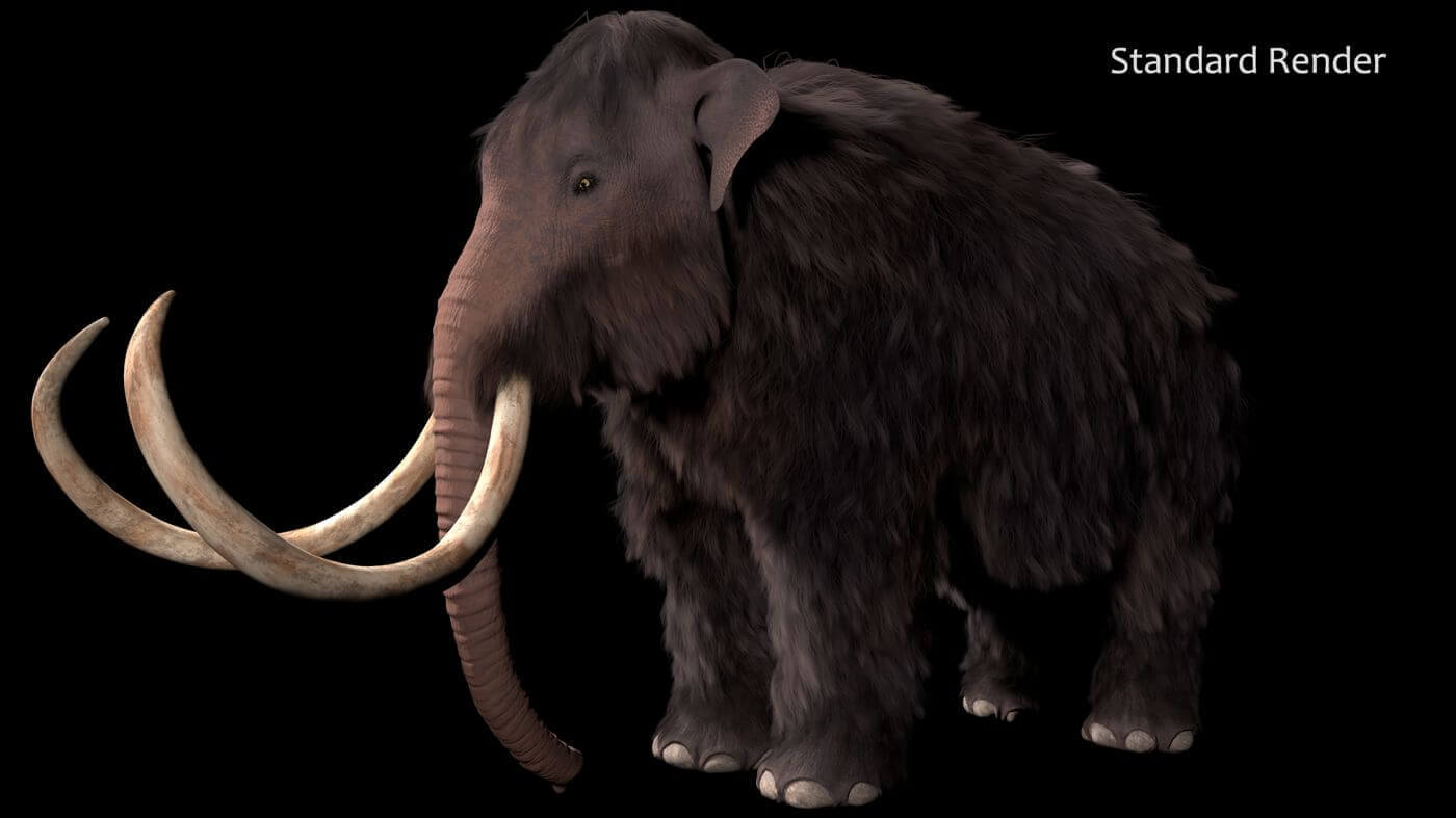 Woolly Mammoth (Mammuthus Primigenius) - 3D Model by GabrielCasamasso