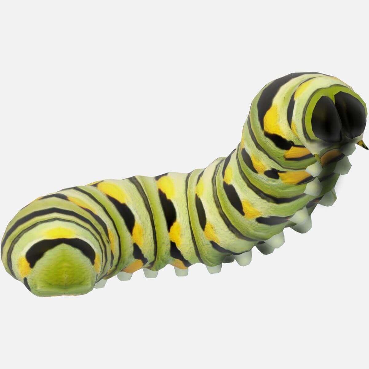 Monarch Larva - 3D Model by GabrielCasamasso