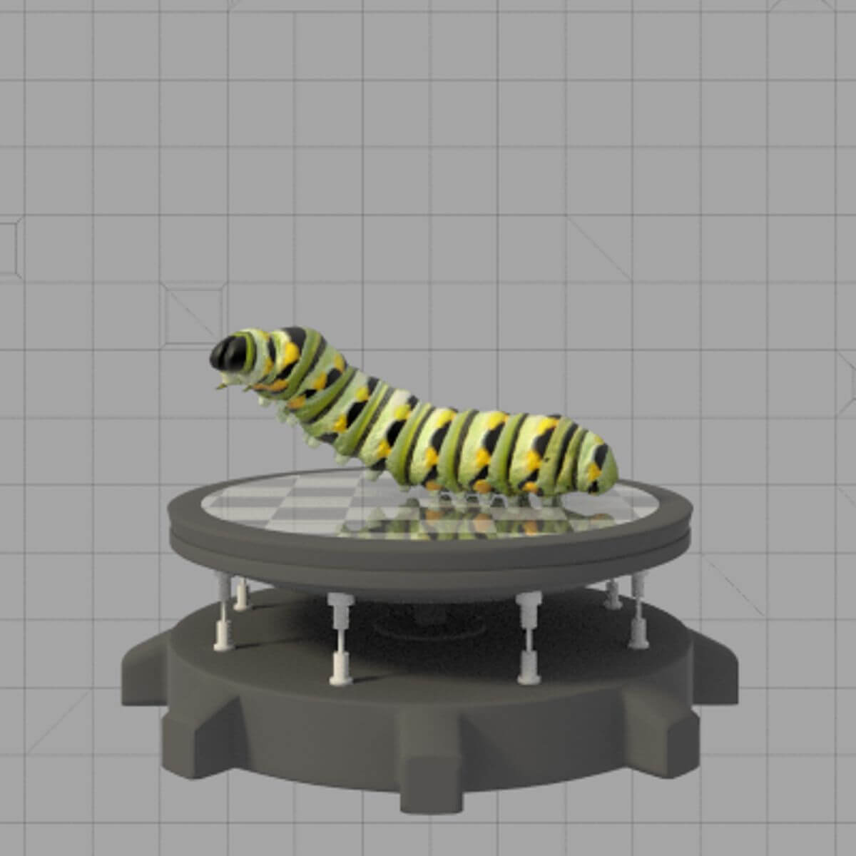 Monarch Larva - 3D Model by GabrielCasamasso