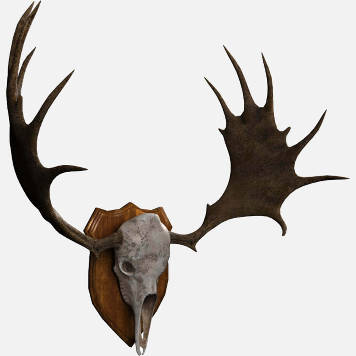 Moose Skull - 3D Model by GabrielCasamasso