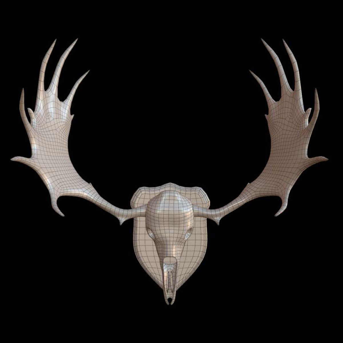Moose Skull - 3D Model by GabrielCasamasso