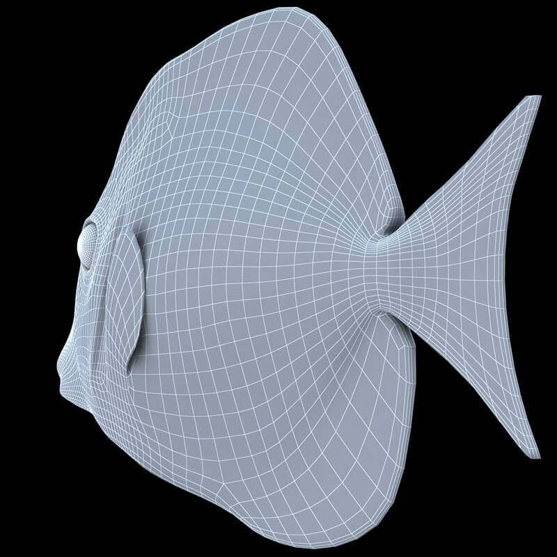 Yellow Eye Tang - 3D Model by Galva858