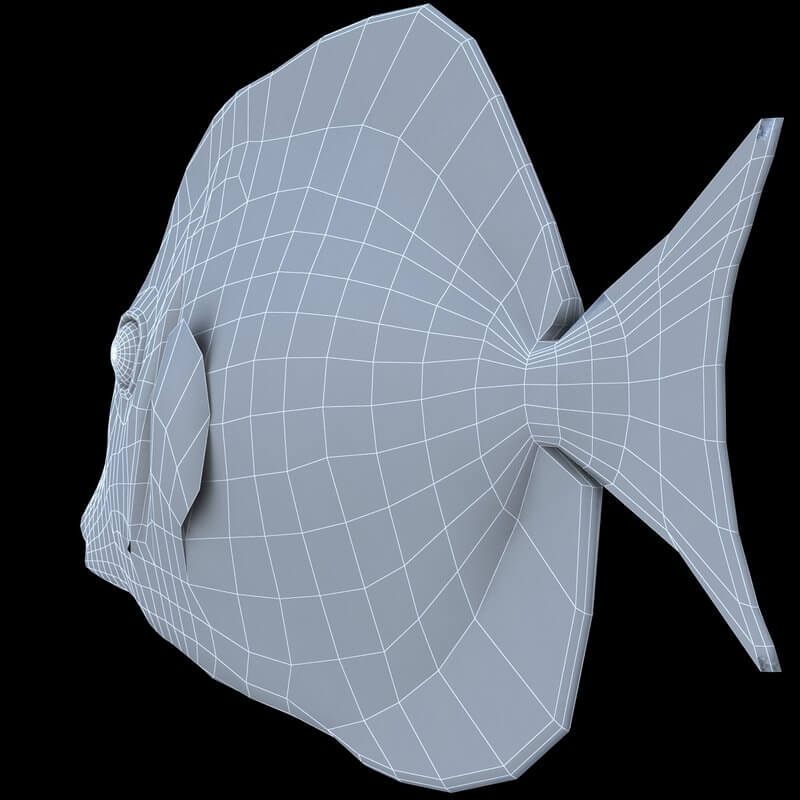 Yellow Eye Tang - 3D Model by Galva858