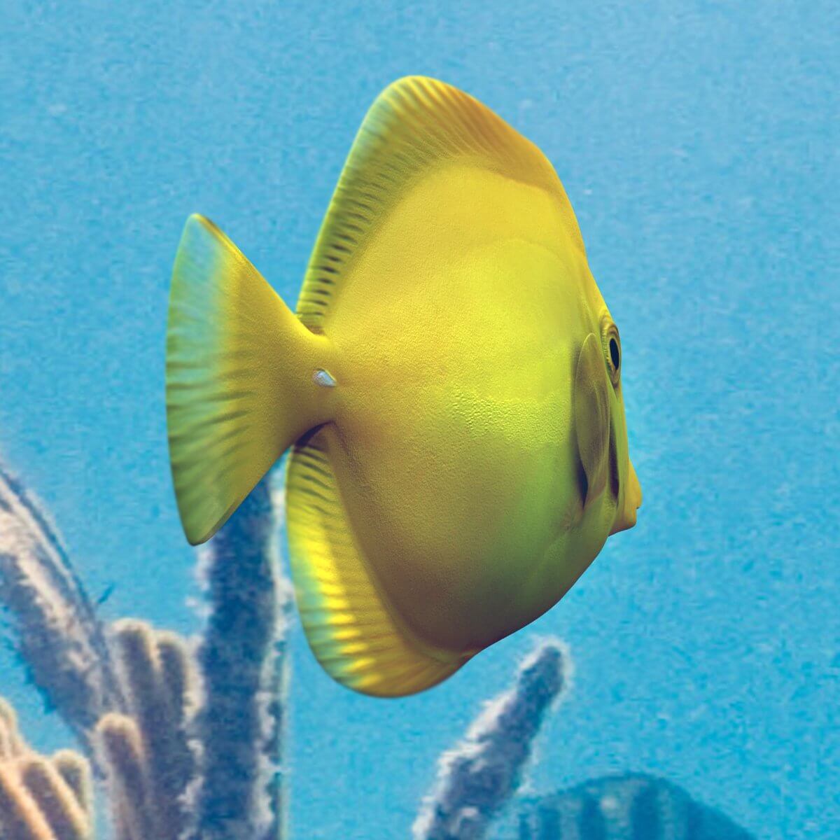 Yellow Tang Tropical Fish - 3D Model by Galva858