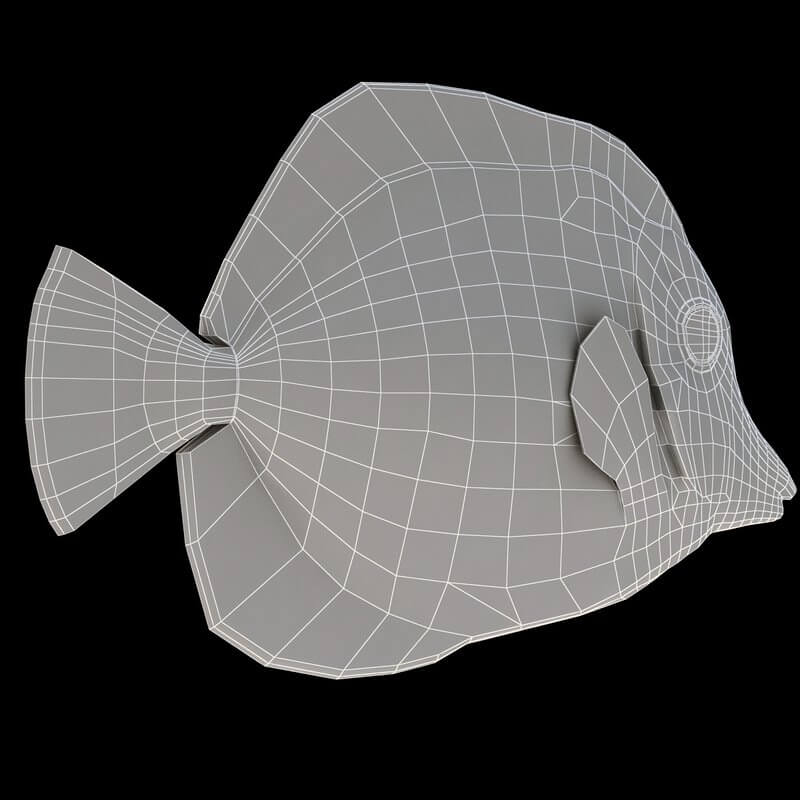 Yellow Tang Tropical Fish - 3D Model by Galva858