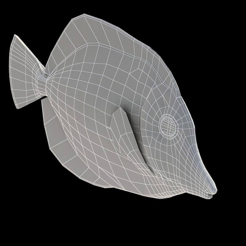 Yellow Tang Tropical Fish - 3D Model by Galva858