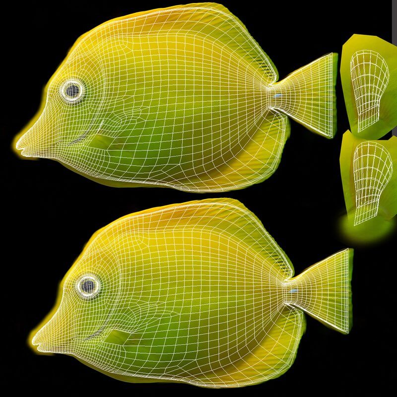 Yellow Tang Tropical Fish - 3D Model by Galva858