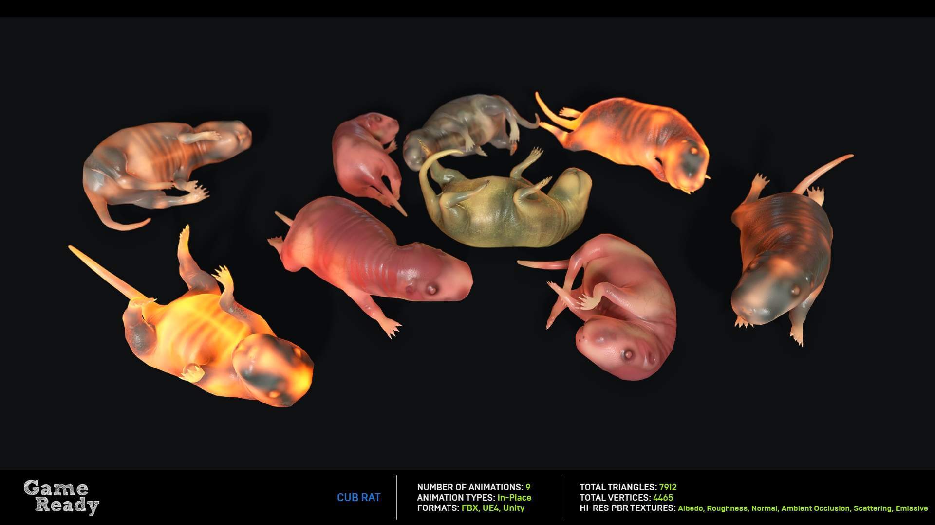 Cub Rat - 3D Model by Game-Ready Studios