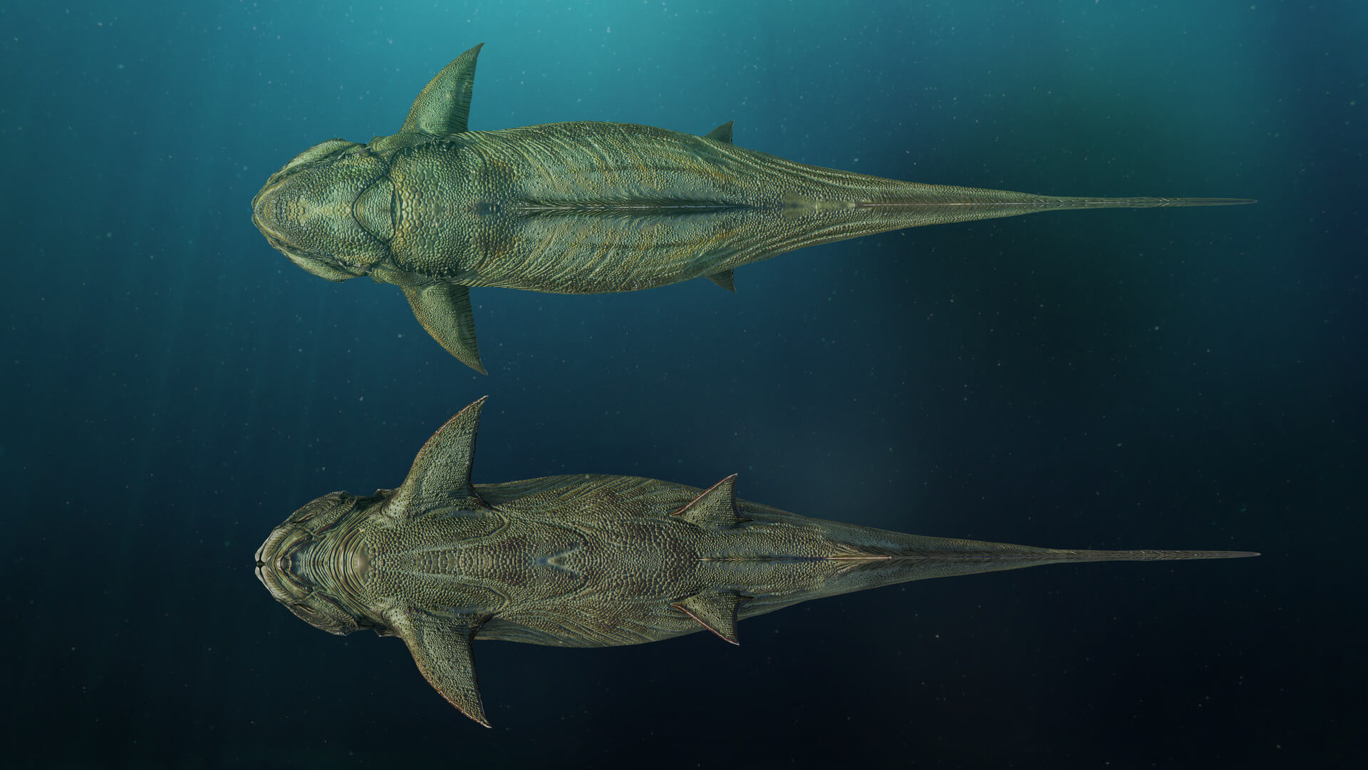 Dunkleosteus 3d Model By Game Ready Studios