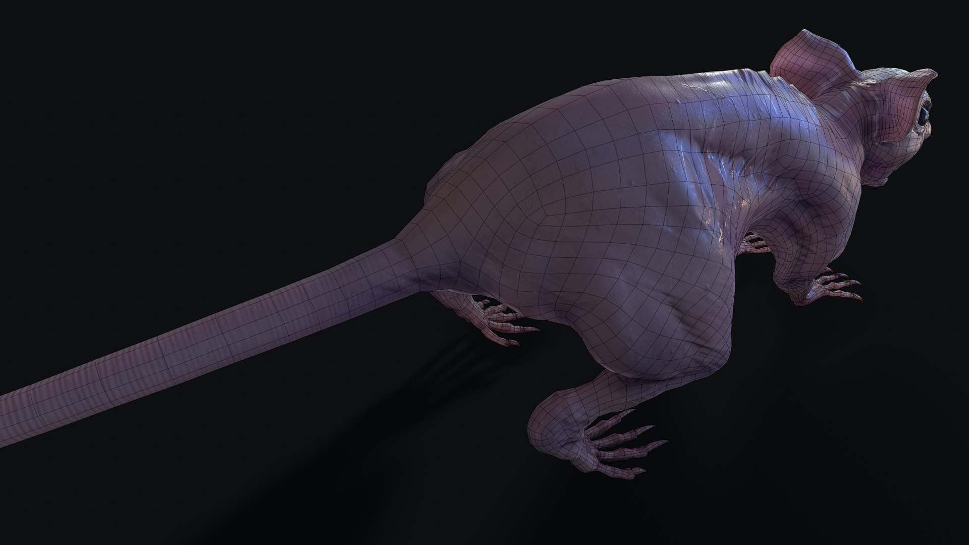 Fanged Mutant Rat - 3D Model by Game-Ready Studios