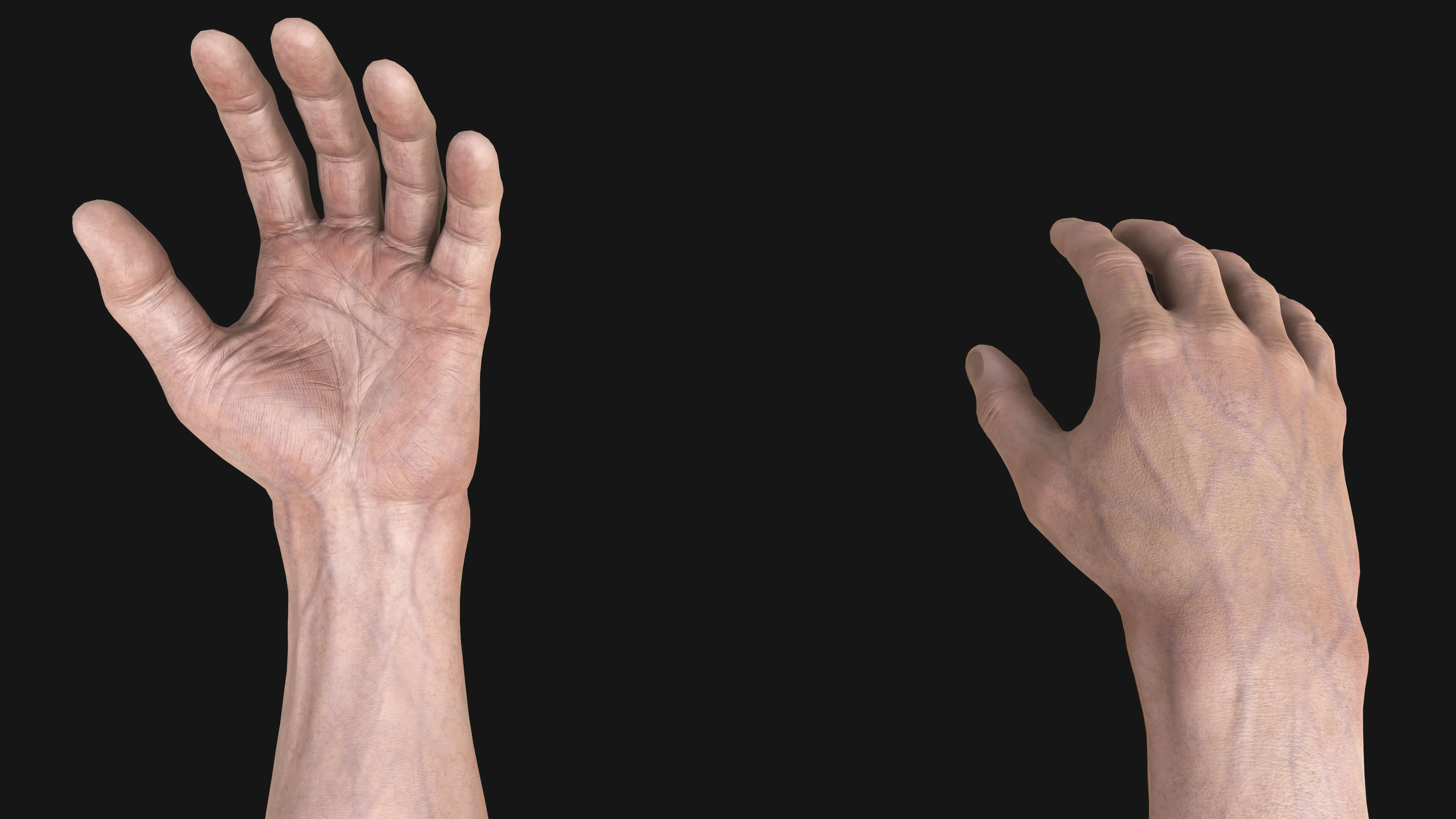HQ Male Arms - 3D Model by Game-Ready Studios