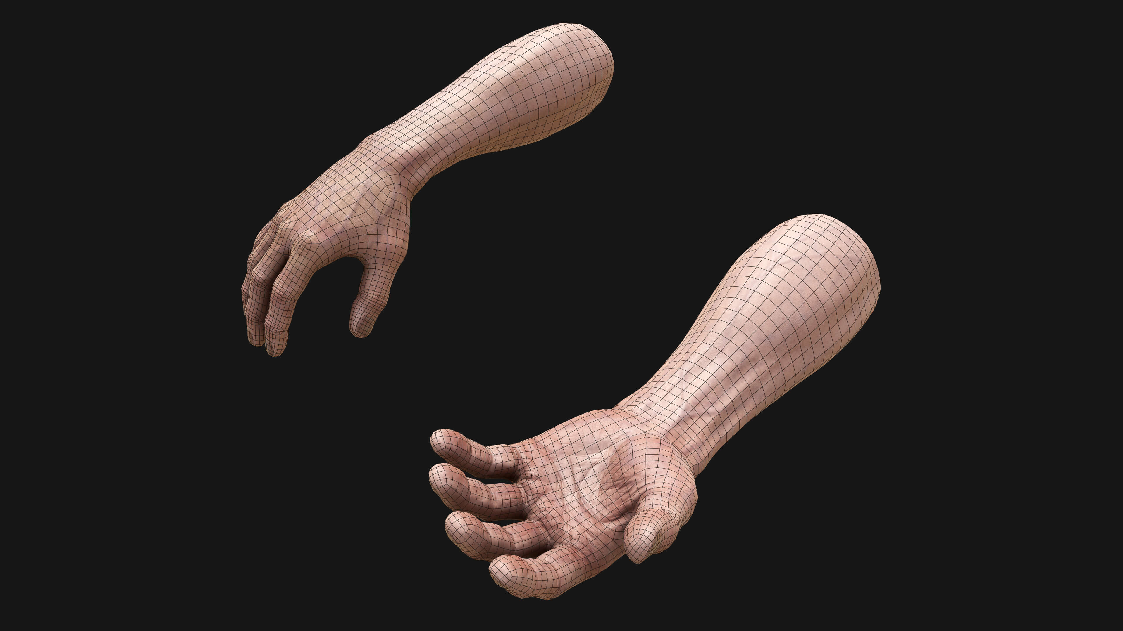 HQ Male Arms - 3D Model by Game-Ready Studios