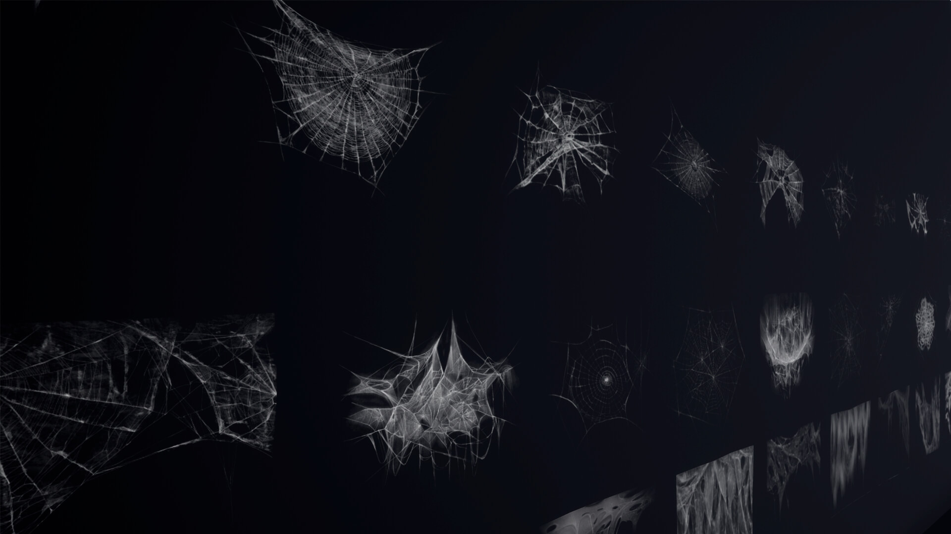 HQ Spiderweb Collection - 3D Model by Game-Ready Studios