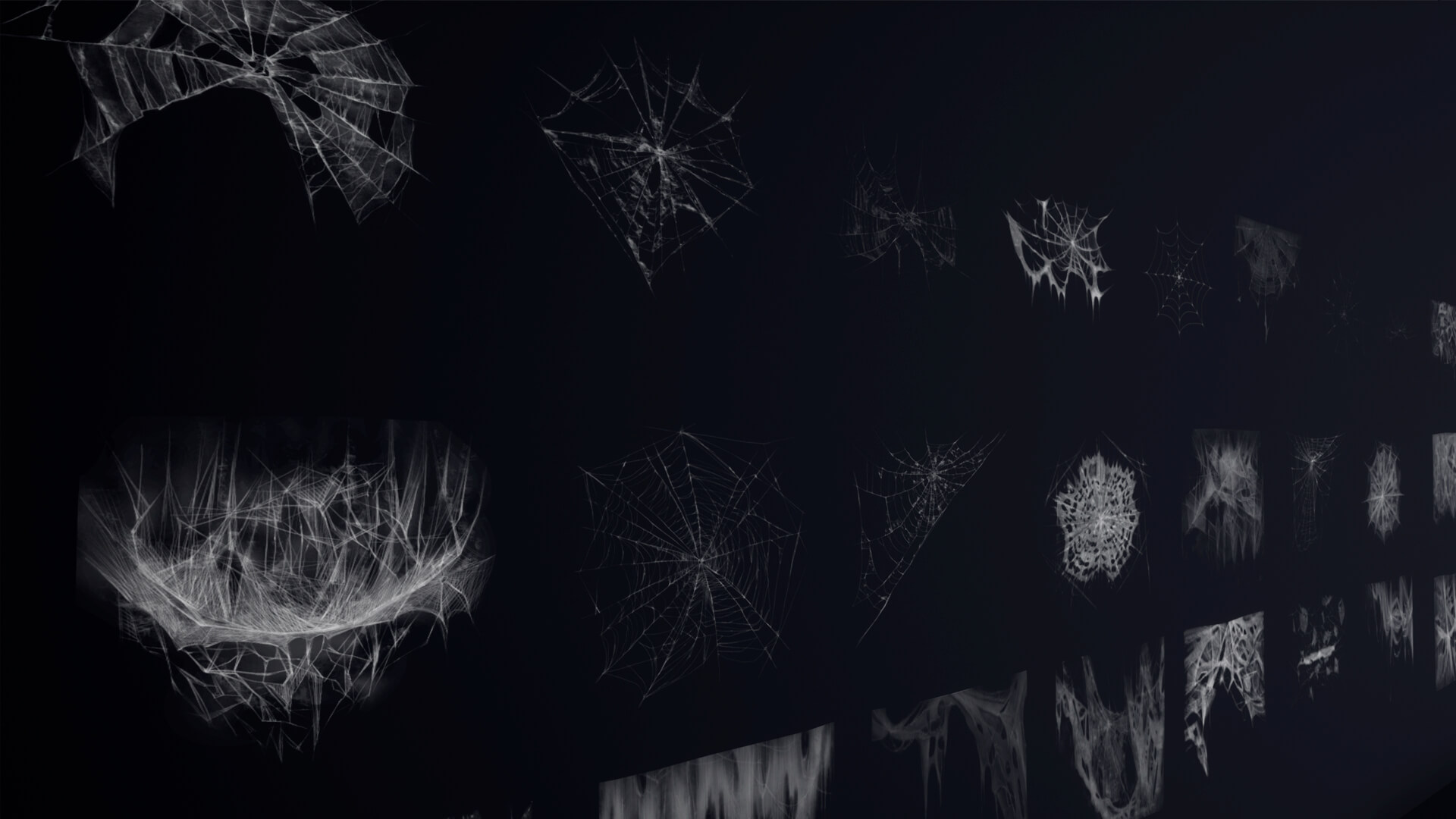 HQ Spiderweb Collection - 3D Model by Game-Ready Studios