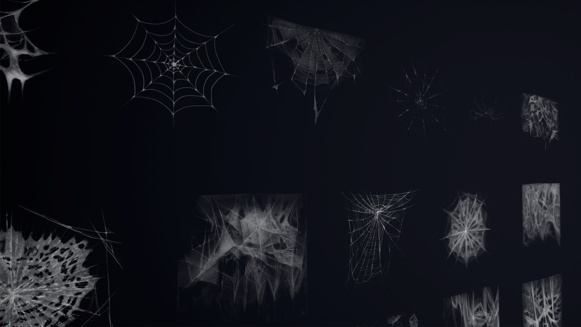 HQ Spiderweb Collection - 3D Model by Game-Ready Studios