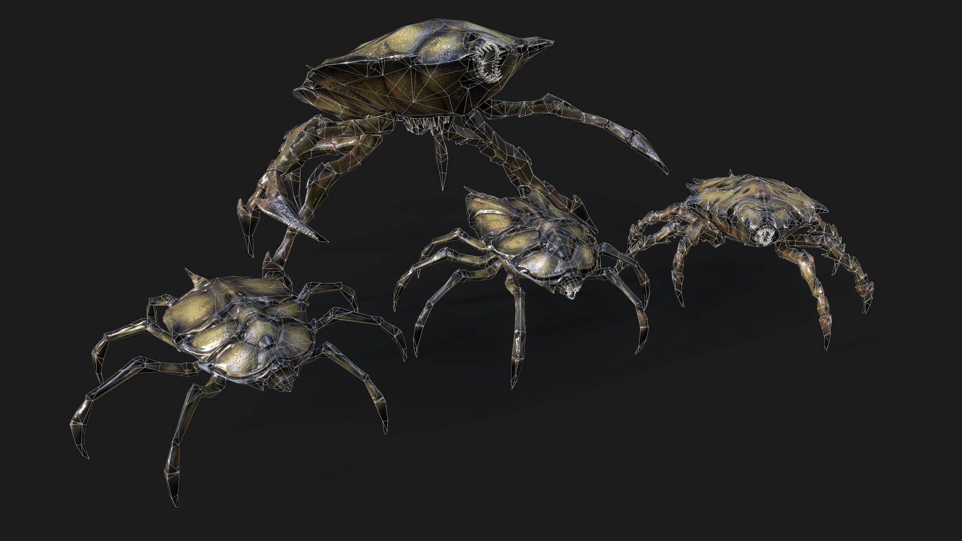 Insect Crawlers Collection - 3D Model by Game-Ready Studios