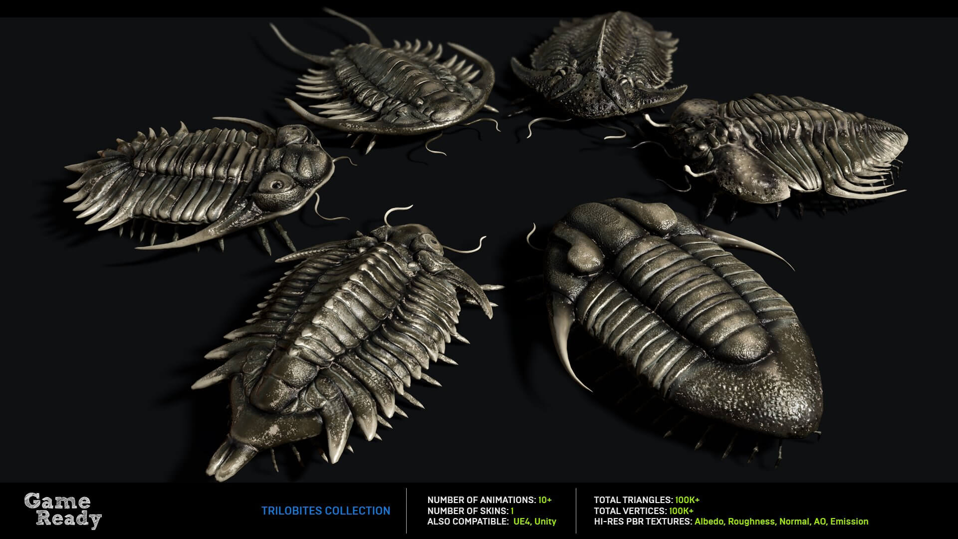 Trilobites Collection - 3D Model by Game-Ready Studios