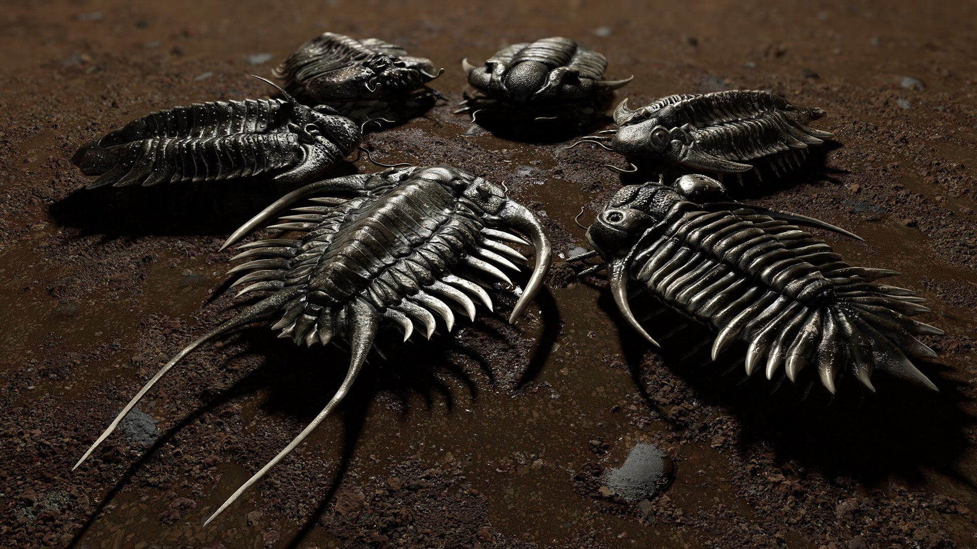 Trilobites Collection - 3D Model by Game-Ready Studios