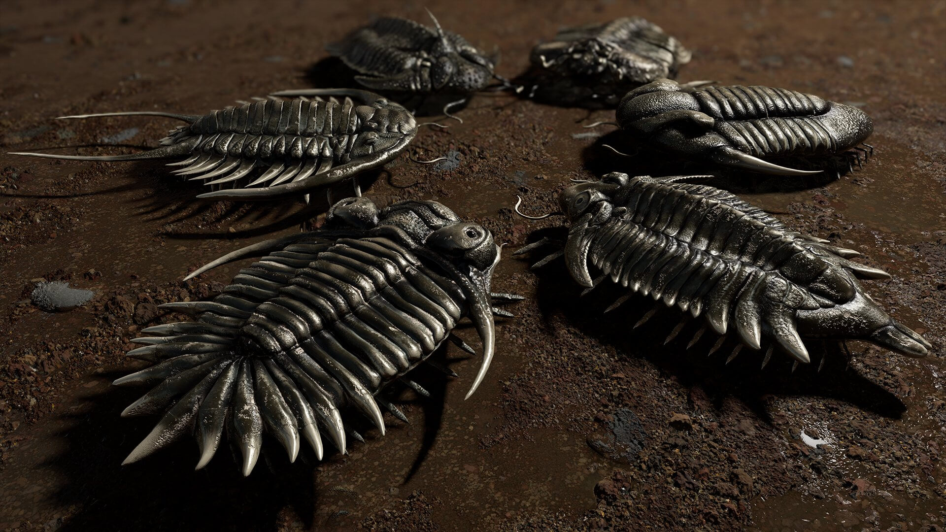 Trilobites Collection - 3D Model by Game-Ready Studios