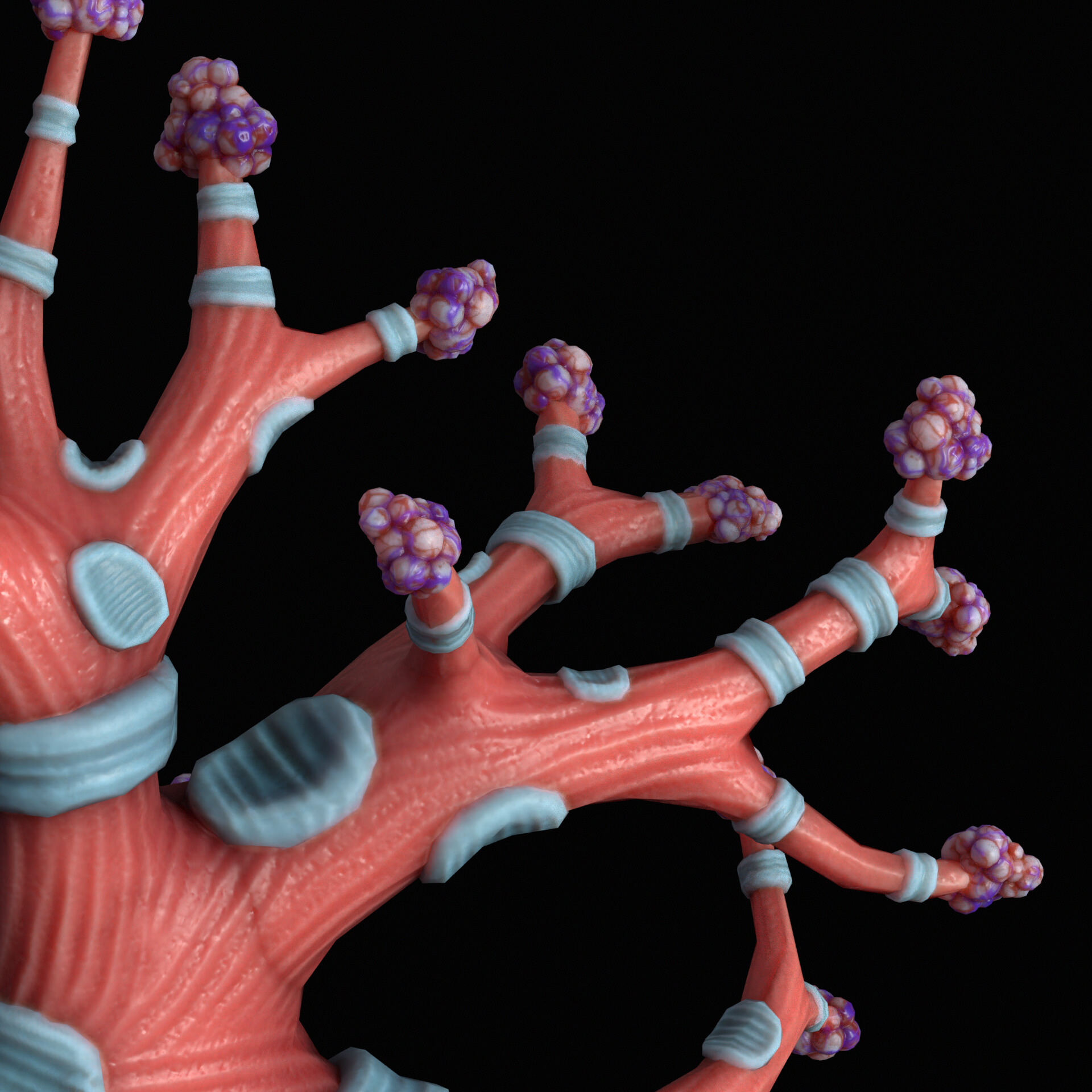 Bronchi - Larynx - Alveoli - Lungs 3D Model by GenaSabrodil