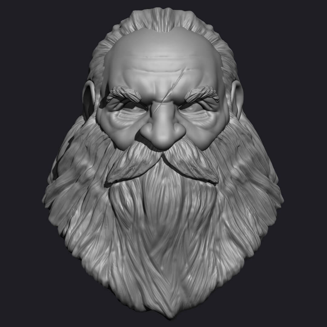 Dwarf Head - 3D Model by GenaSabrodil