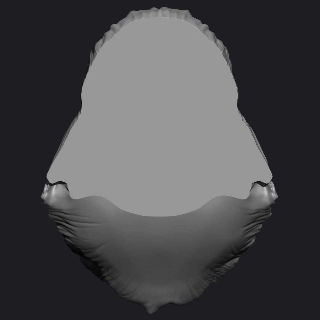 Dwarf Head - 3D Model by GenaSabrodil