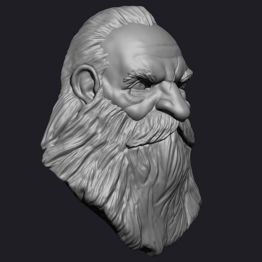 Dwarf Head - 3D Model by GenaSabrodil