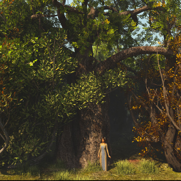 Nordic Trees 3D Render | RenderHub Gallery
