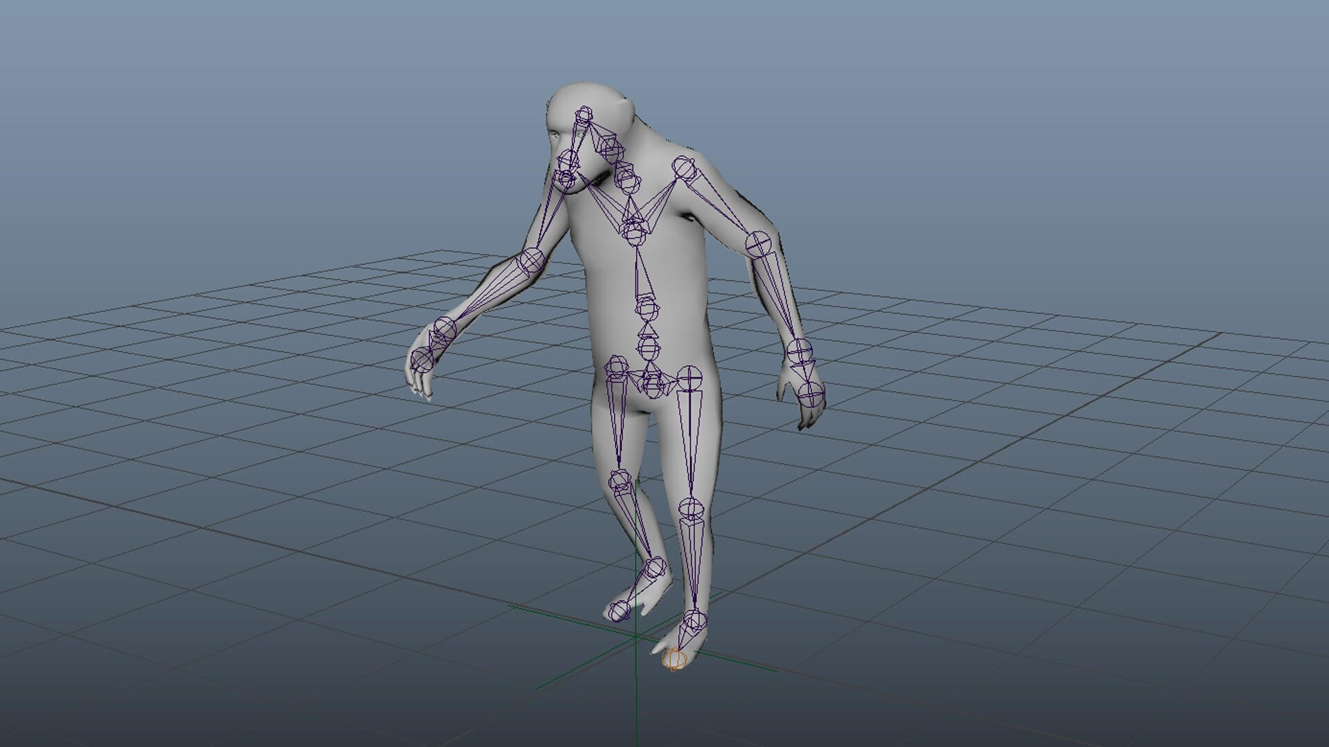 Chimpanzee - 3D Model by george55555