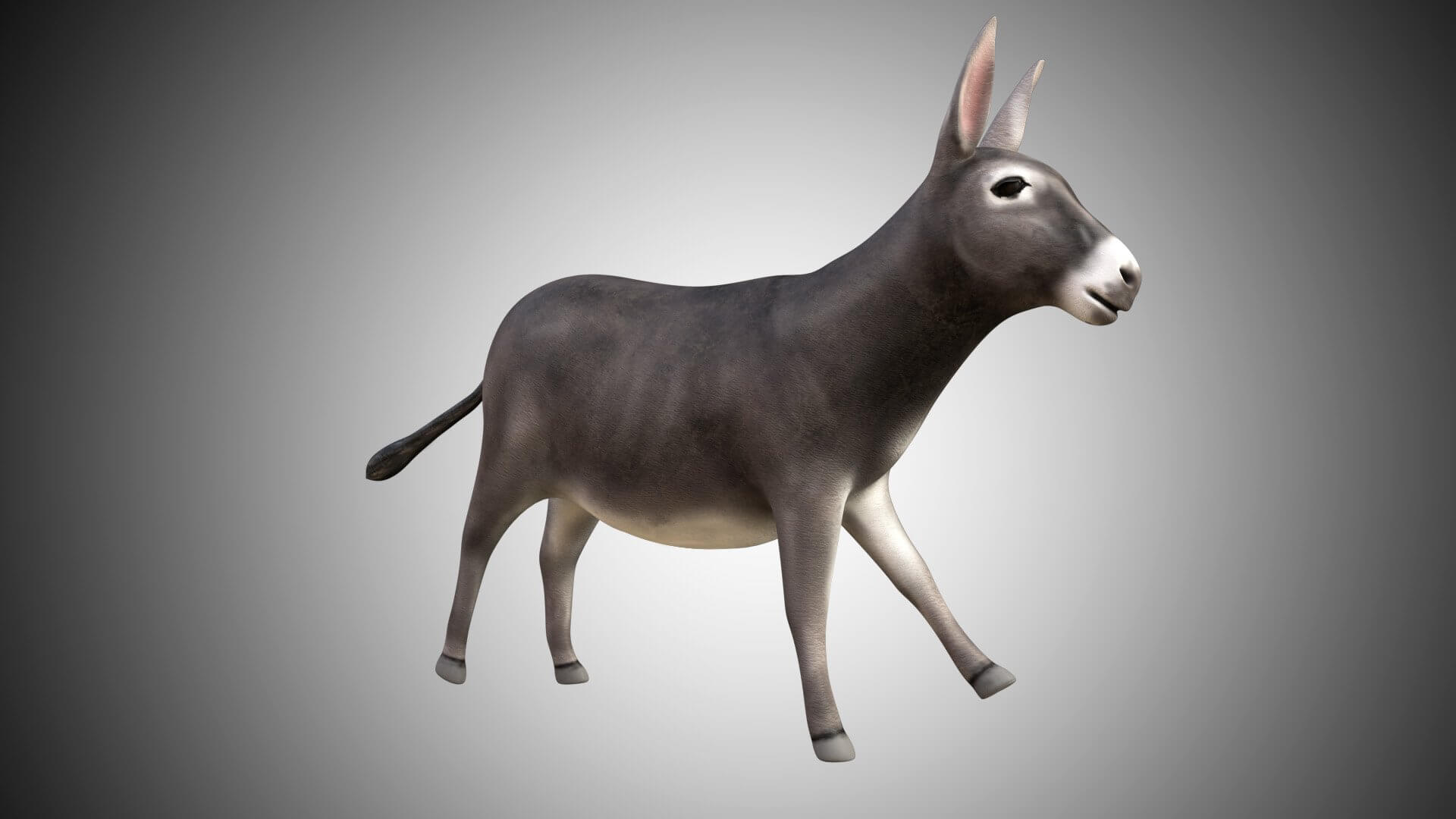 Donkey - 3D Model by george55555
