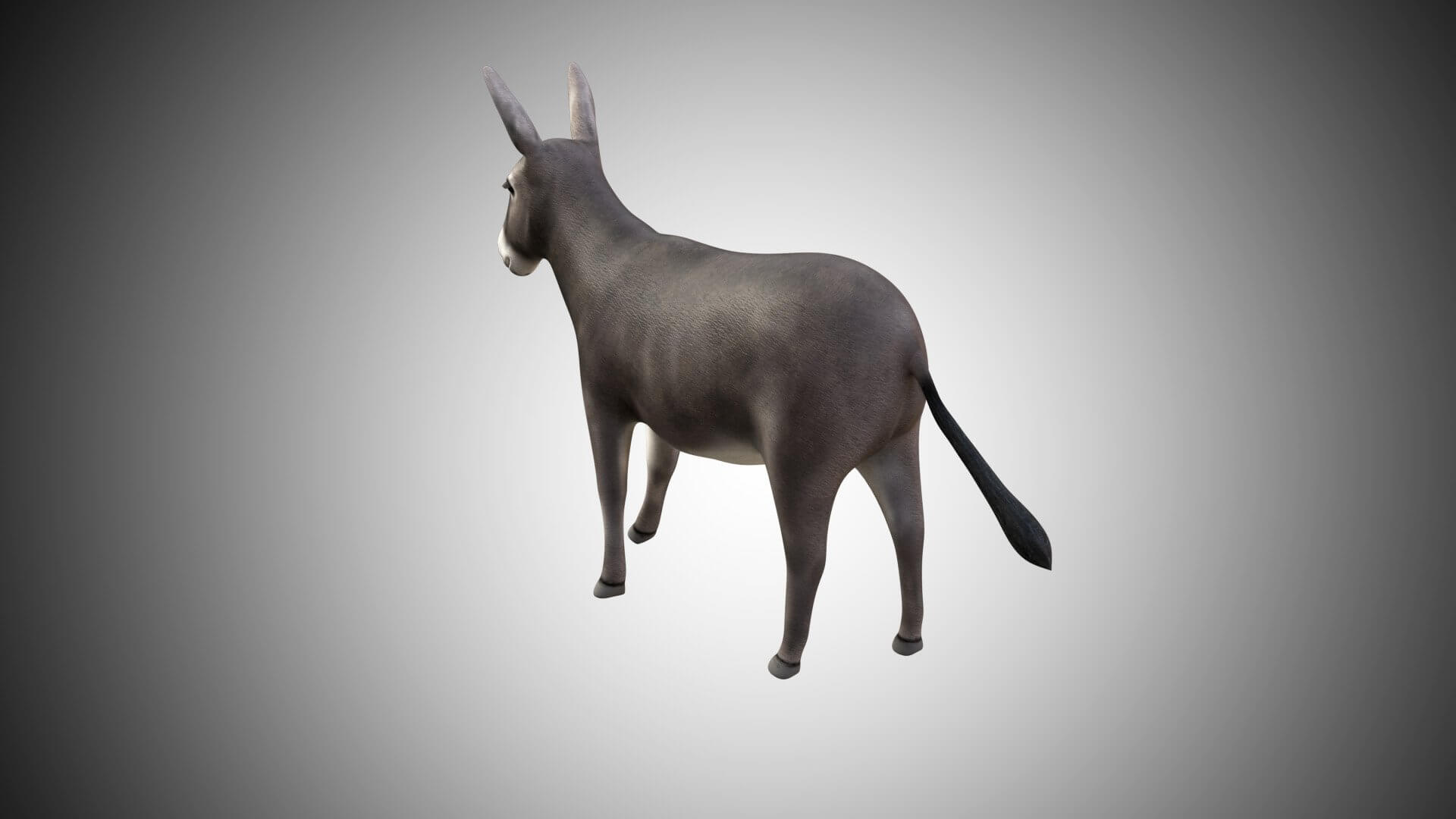 Donkey - 3D Model by george55555