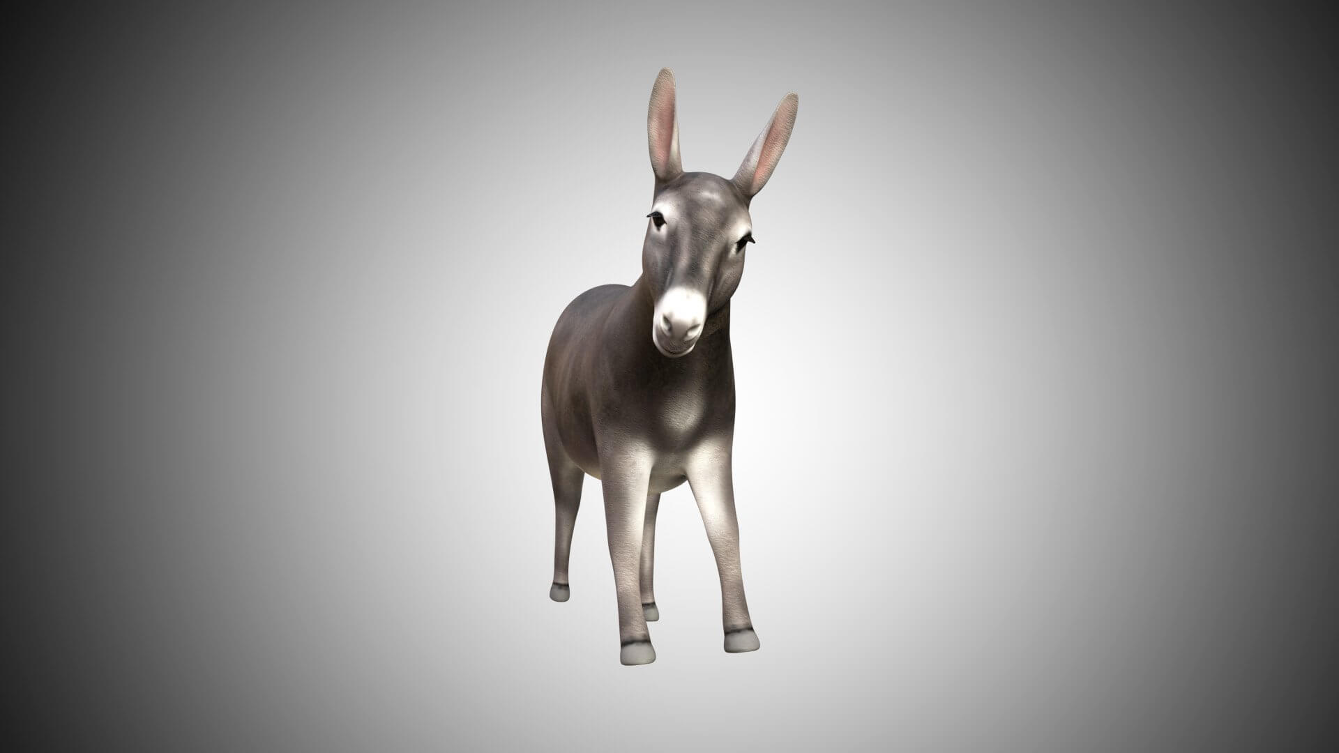 Donkey - 3D Model by george55555