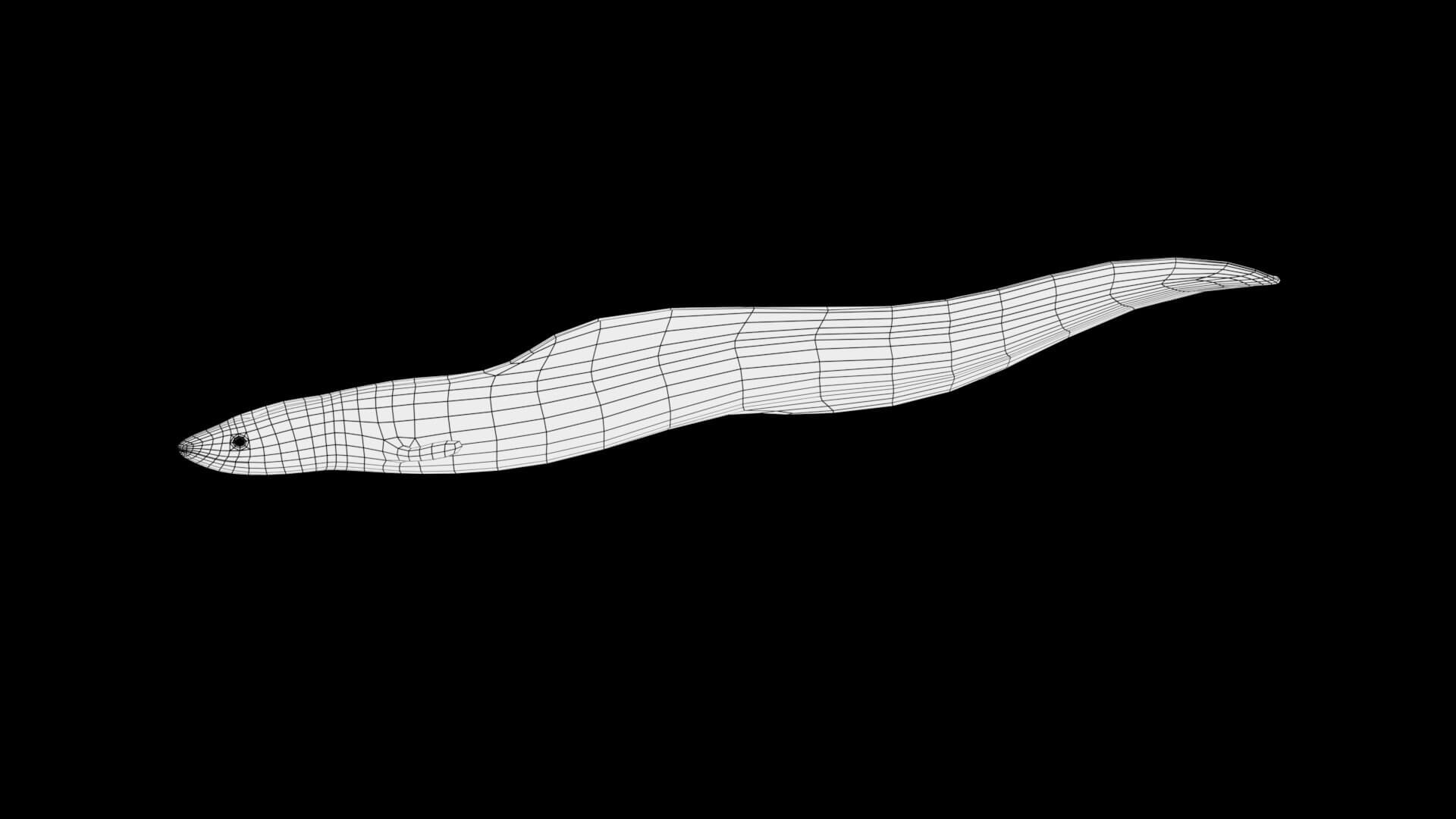 Electric Eel Fish - 3D Model by george55555