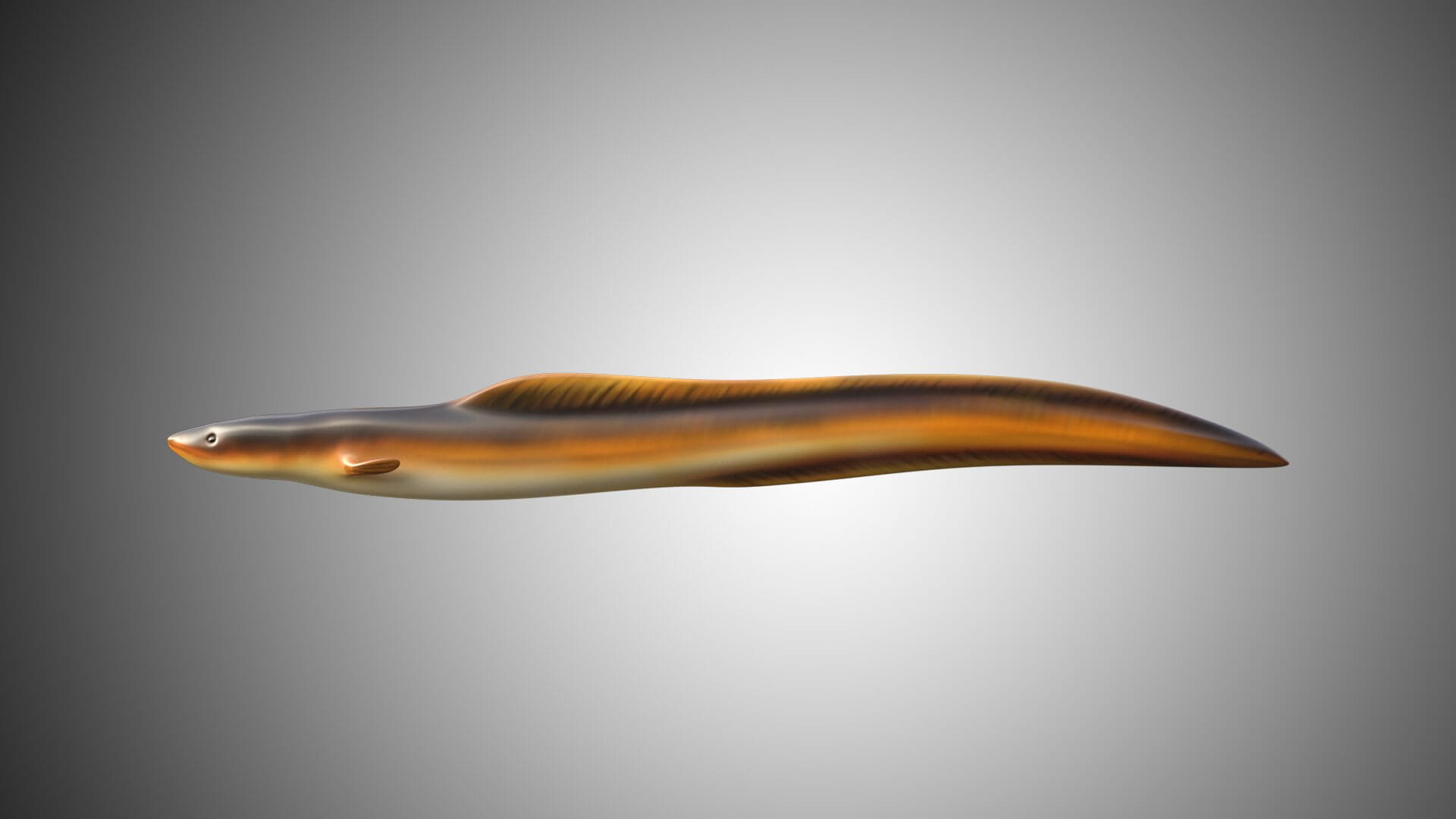 Electric Eel - 3D Model by george55555