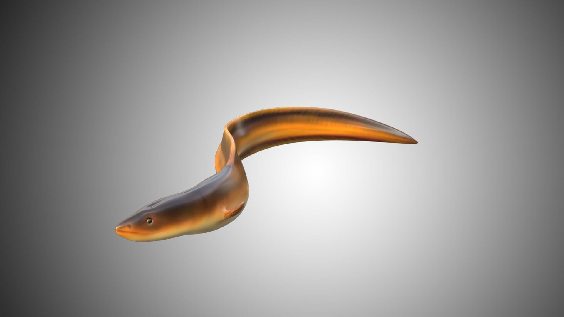 Electric Eel - 3D Model by george55555