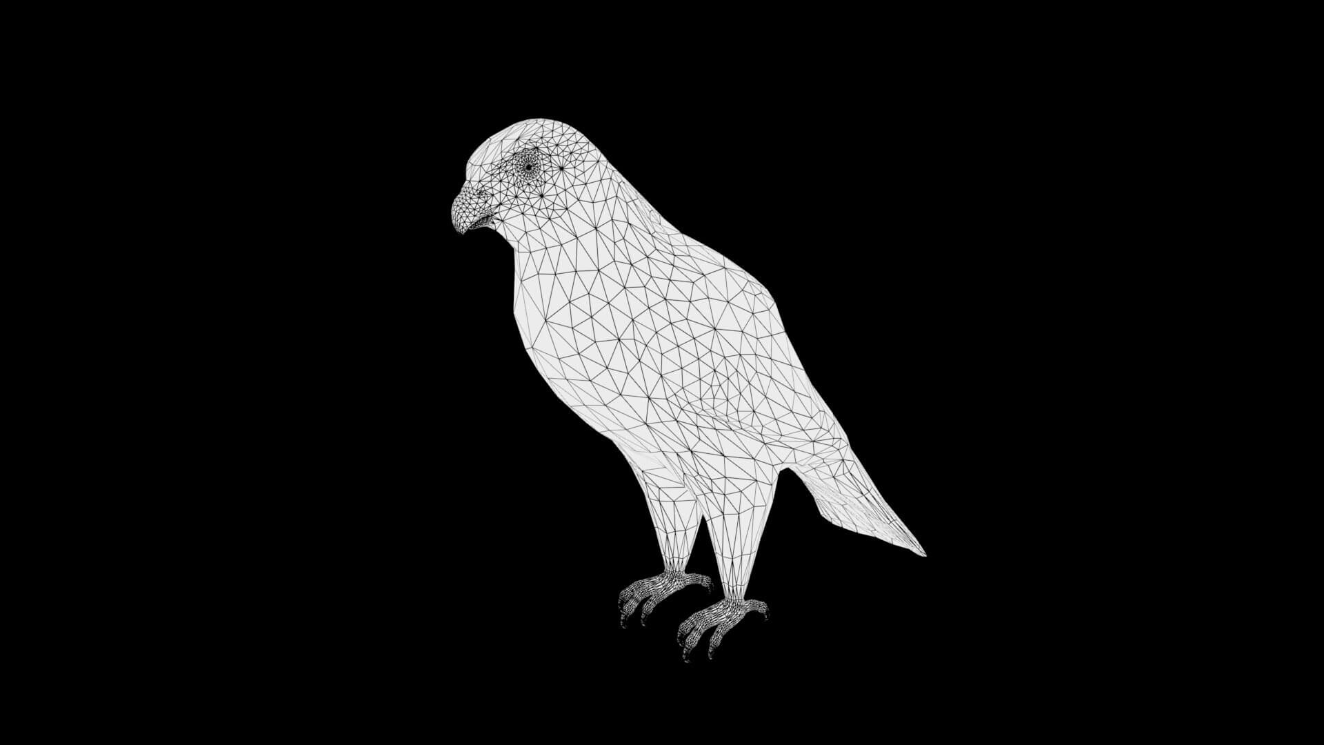 Falcon Bird - 3D Model by george55555