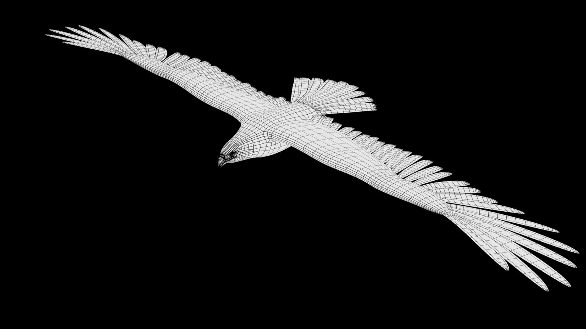 Hawk - 3D Model by george55555