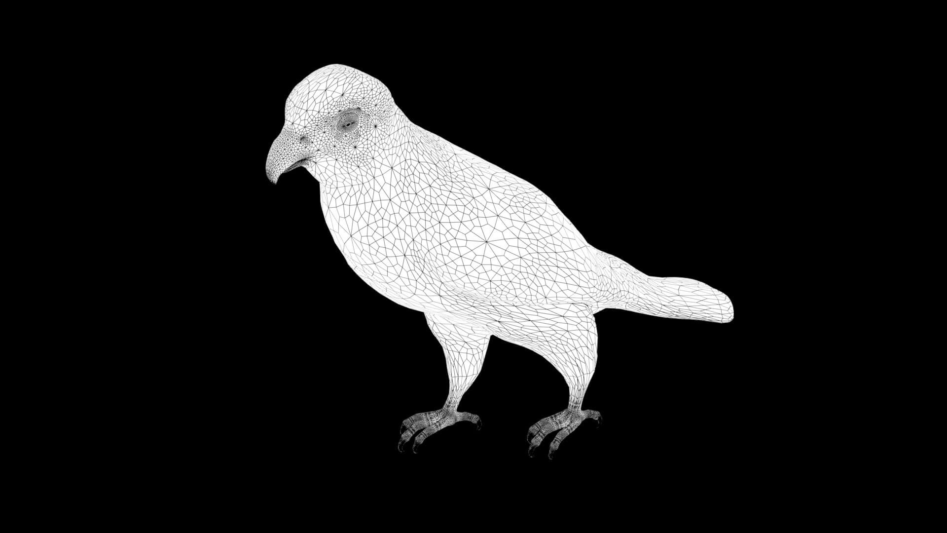 Hawk - 3D Model by george55555