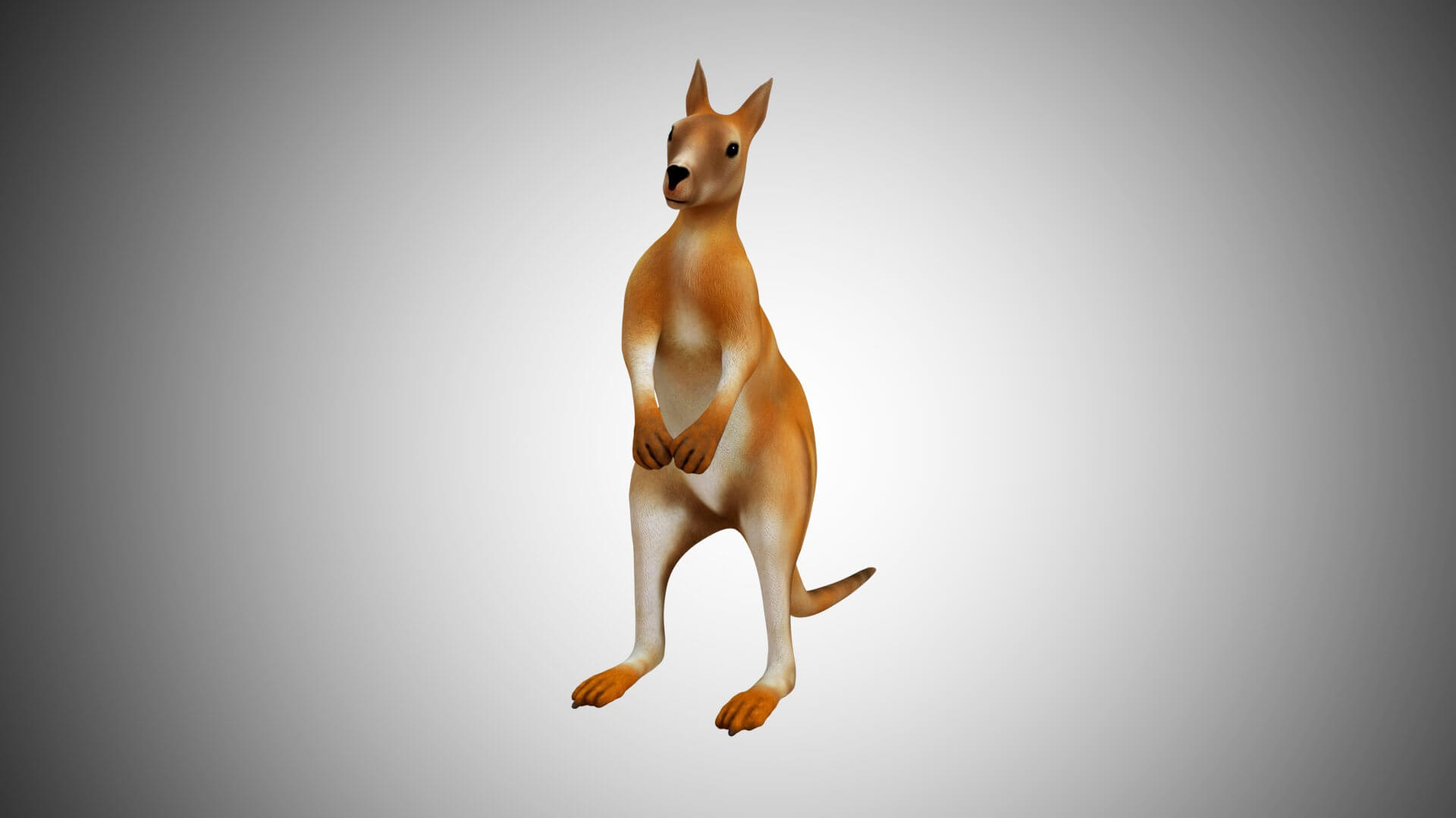 Kangaroo - 3D Model by george55555