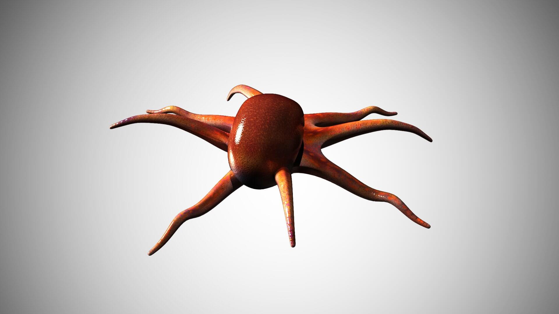 Octopus - 3D Model by george55555